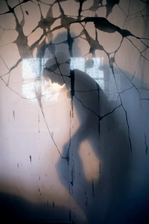 Tobias Regell - CAMERALINK